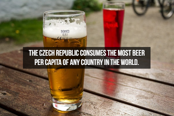 Crack open cold facts about beer