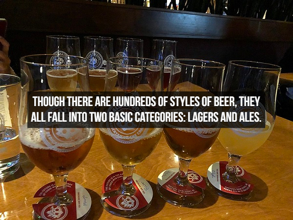 Crack open cold facts about beer