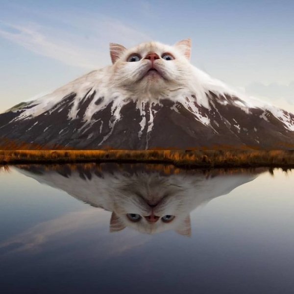 Person Can't Stop Photoshopping Animals Onto Random Things