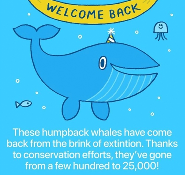 The most popular CHIVE posts of the year (20 Photos)