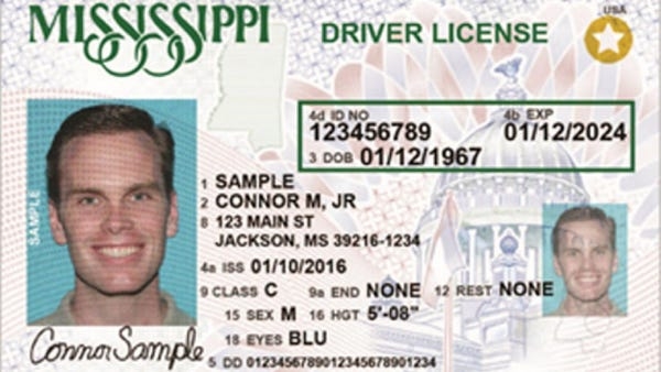 What Driver's Licenses Look Like In Each State