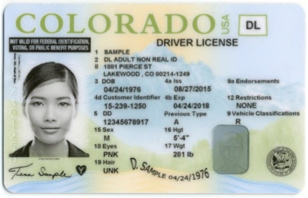 What Driver's Licenses Look Like In Each State