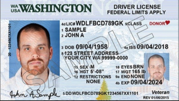 What Driver's Licenses Look Like In Each State