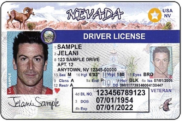 What Driver's Licenses Look Like In Each State