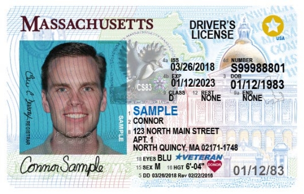 What Driver's Licenses Look Like In Each State