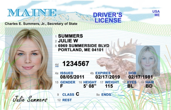 What Driver's Licenses Look Like In Each State