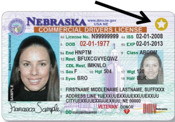 What Driver's Licenses Look Like In Each State