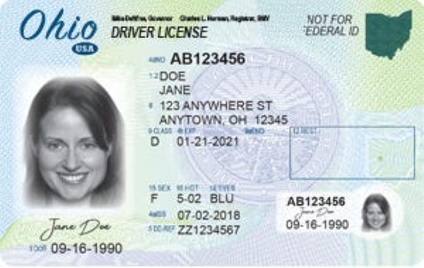 What Driver's Licenses Look Like In Each State