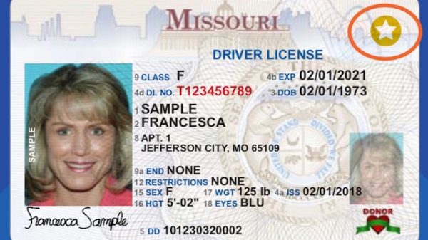 What Driver's Licenses Look Like In Each State