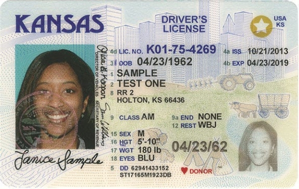 What Driver's Licenses Look Like In Each State