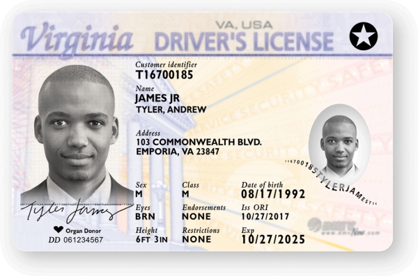 What Driver's Licenses Look Like In Each State