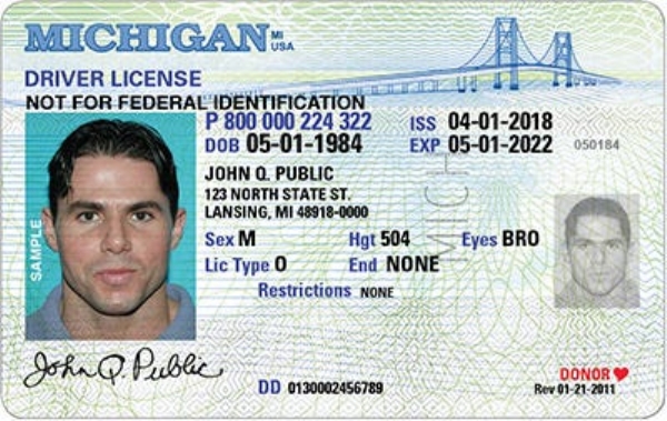 What Driver's Licenses Look Like In Each State