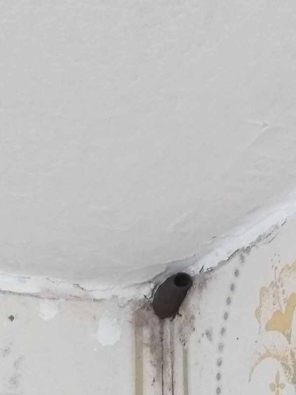 Strange, Unknown Objects Get Identified