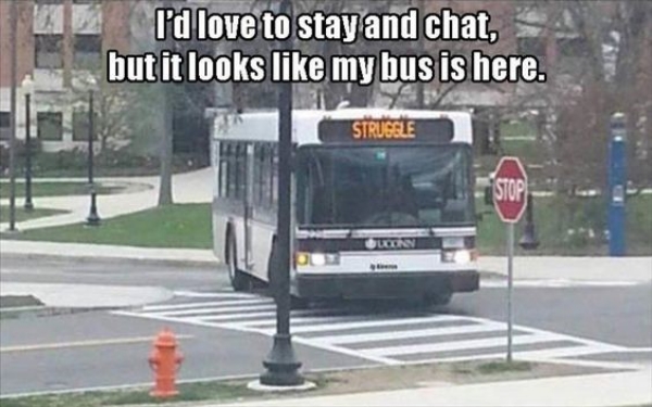 All aboard the struggle bus (30 Photos)
