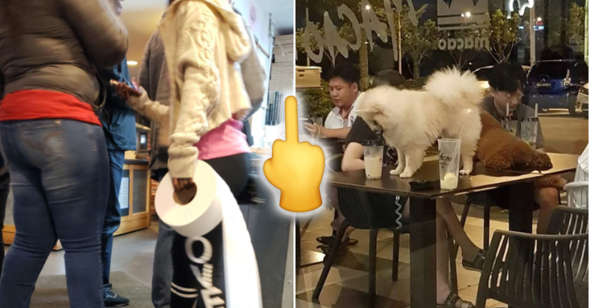 theCHIVE - Funny Pictures, Photos, Memes & Videos – theCHIVE.com