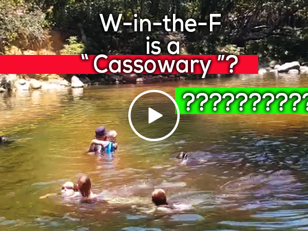 Strange Animal Australia Swimming Bird Ostrich Video 2020