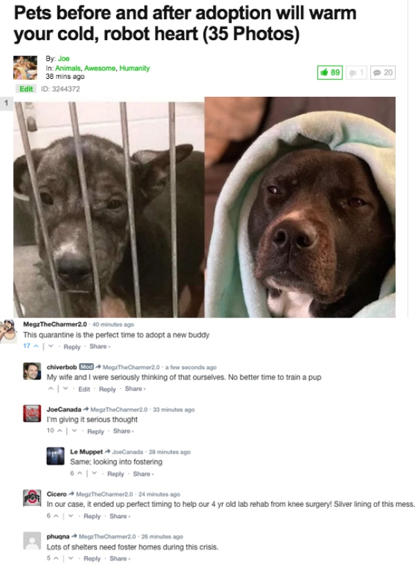 The comments sections is where 'funny' lives