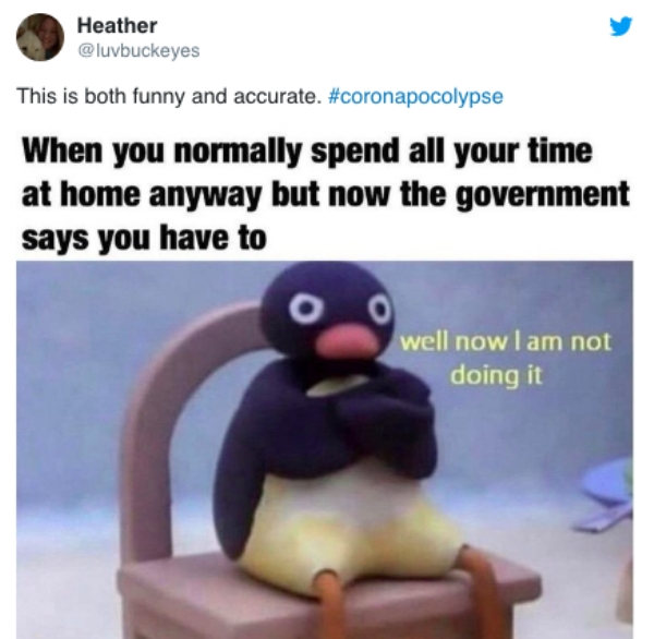 Quarantine Memes And Tweets To Read At Home