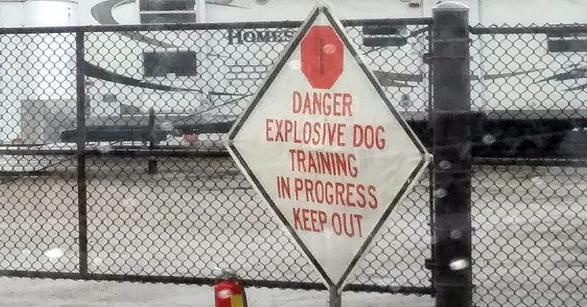 theCHIVE - Funny Pictures, Photos, Memes & Videos – theCHIVE.com