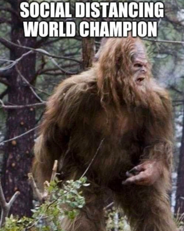 Make sure your memes are social ..................distancing (30 Photos)