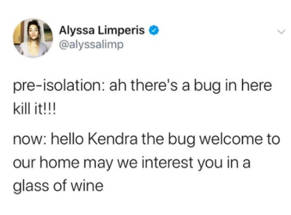 Make sure your memes are social ..................distancing (30 Photos)