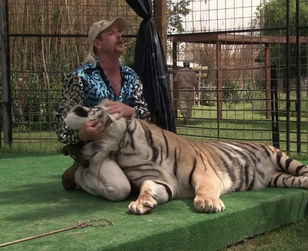 Joe Exotic and 'Tiger King' Netflix series fun facts. | Entertainment