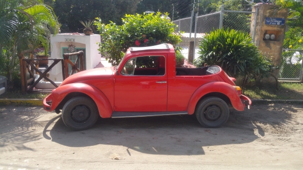 Insane cars that were decked out in ways you would never predict