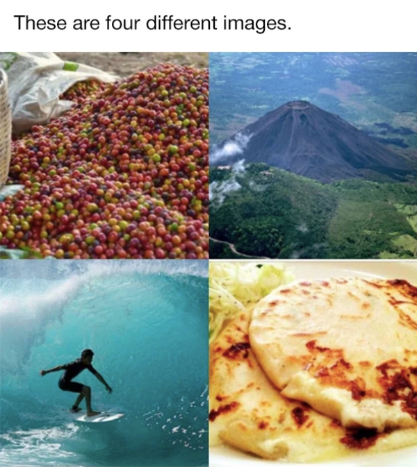 This post is not interesting. Don't click it. (30 Photos)