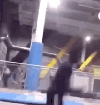 Perfectly Timed Pictures And GIFs Are Satisfying As Hell