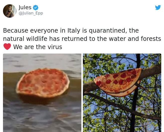 As Humans Quarantine, Wildlife Is Returning To Nature