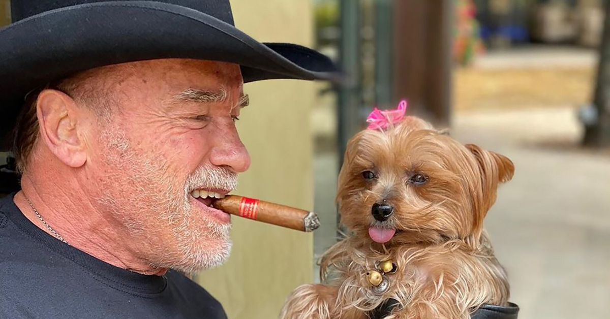 theCHIVE - Funny Pictures, Photos, Memes & Videos – theCHIVE.com