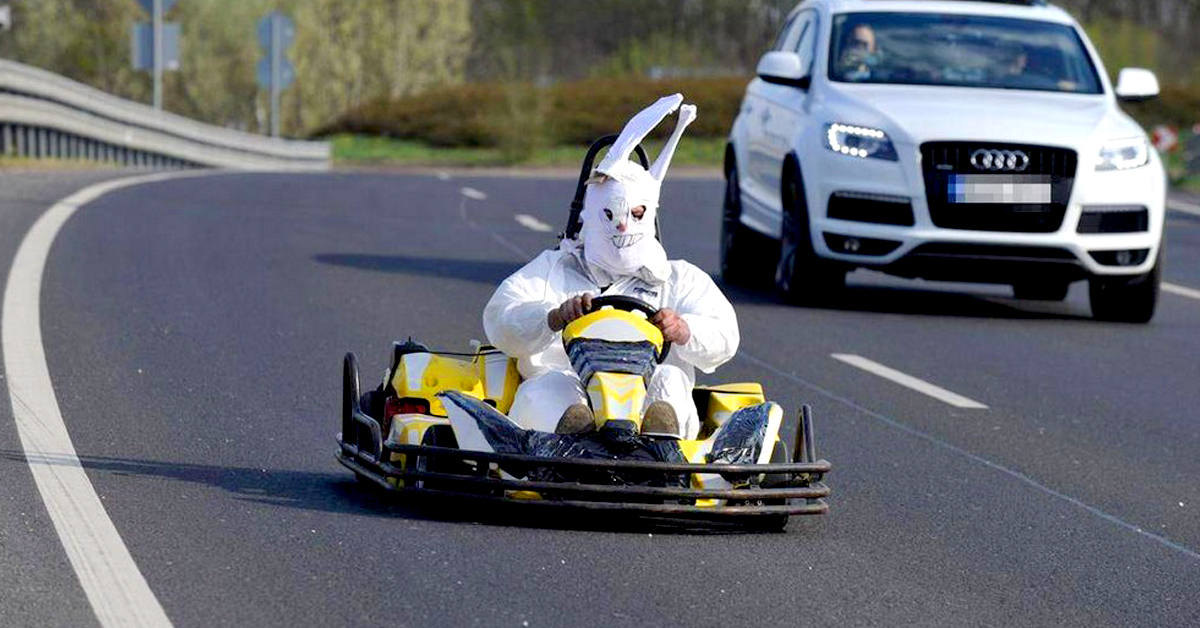 theCHIVE - Funny Pictures, Photos, Memes & Videos – theCHIVE.com