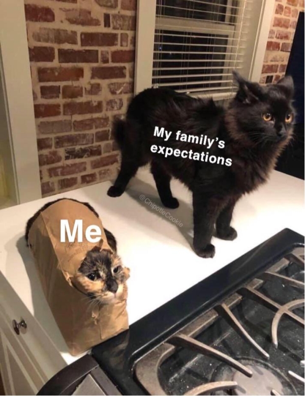 Chipotle Cat Meme
