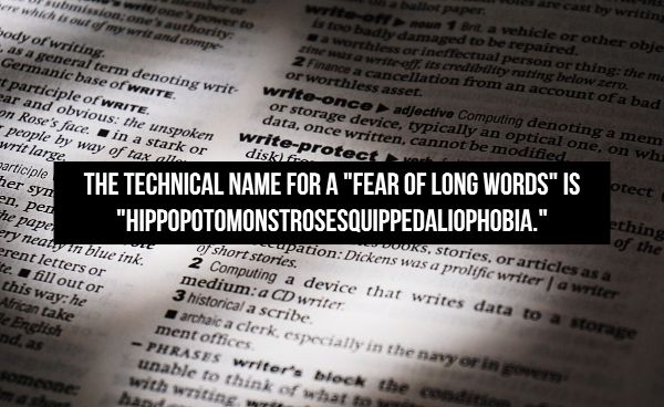 Funny facts that're hilariously knowledgeable