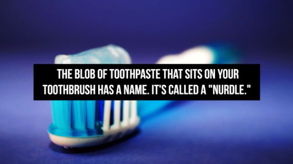 Funny facts that're hilariously knowledgeable