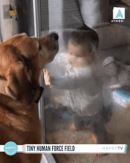 Get in here for some HAPPY OVERLOAD!
