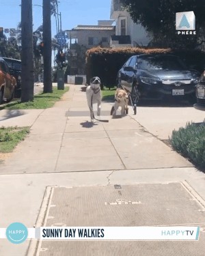 Get in here for some HAPPY OVERLOAD!