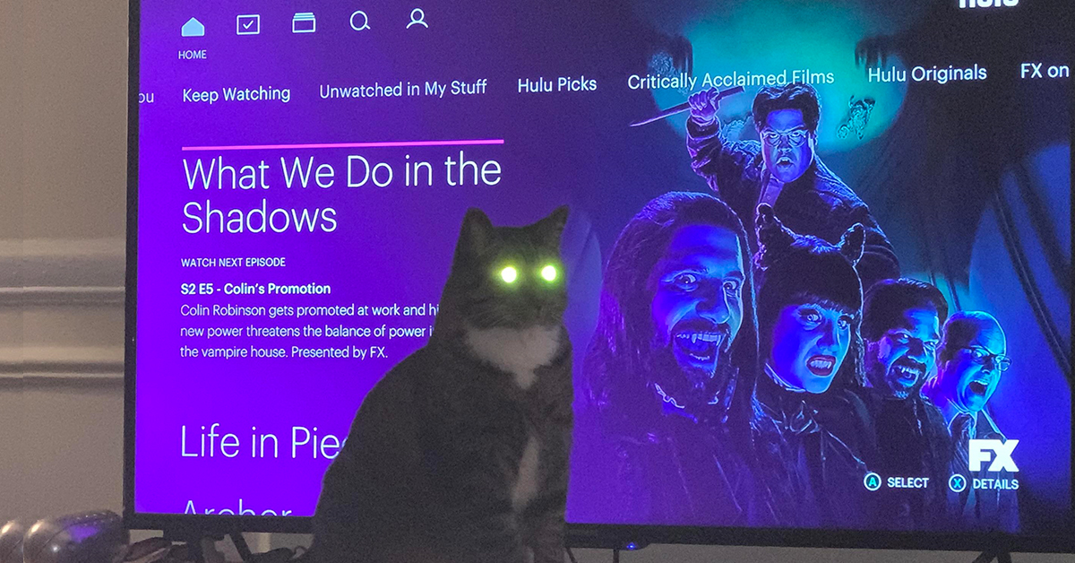 theCHIVE - Funny Pictures, Photos, Memes & Videos – theCHIVE.com