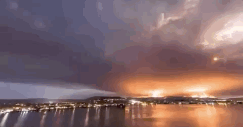 The Wild Side Of Nature Shown Through GIFs