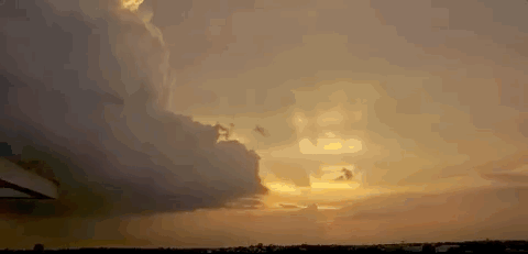 The Wild Side Of Nature Shown Through GIFs