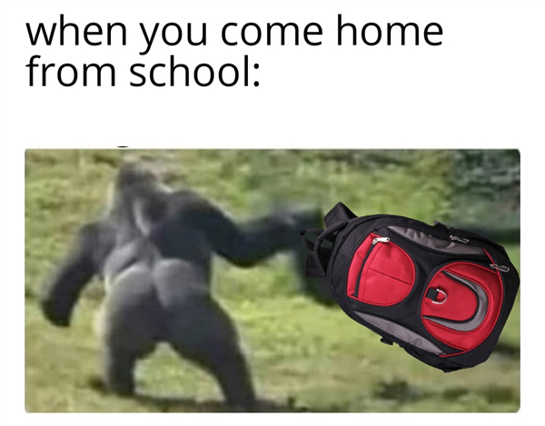 The dankest memes of the damn WEEK!