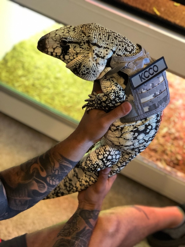 Military Monday Sexy Hot Women Girls Gun Photos Inspirational Heroes