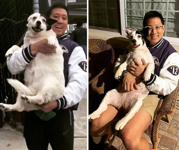 Chonky dogs turned fit