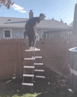 The Terminally Stupid Cannot Be Cured