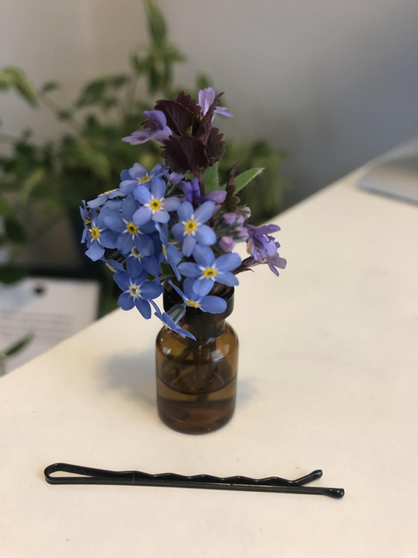 What is this? A post for ANTS!?