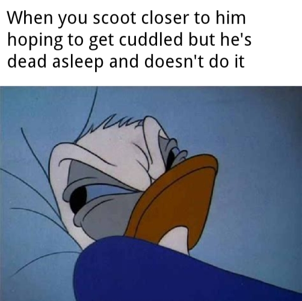 34 Funny Dirty Memes To Send To Your Crush - theCHIVE