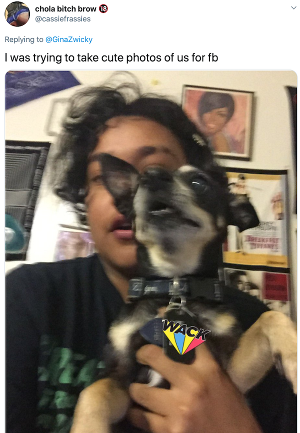 Pet Owners Share The Hilariously Bad Photos Of Their Animals