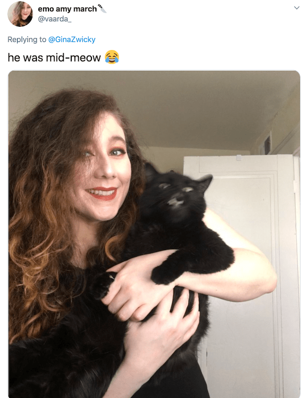 Pet Owners Share The Hilariously Bad Photos Of Their Animals