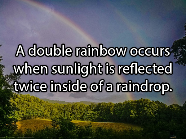 Interesting Facts So Crazy That They Sound Fake