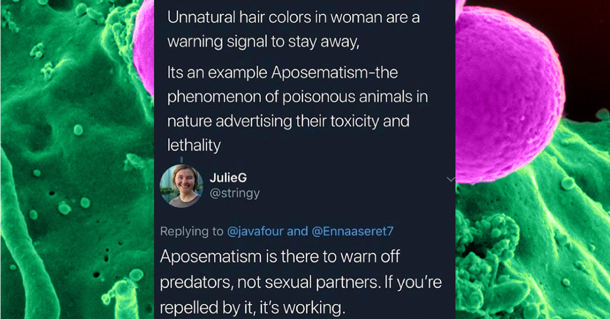 People getting destroyed by science